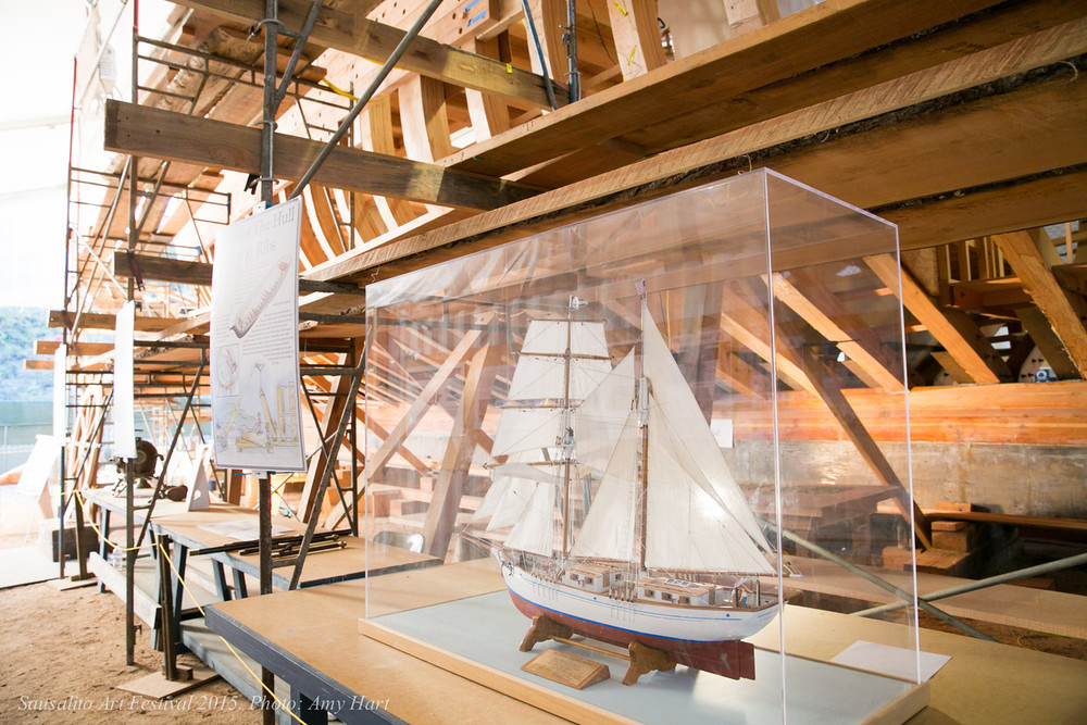 History – Call of the Sea