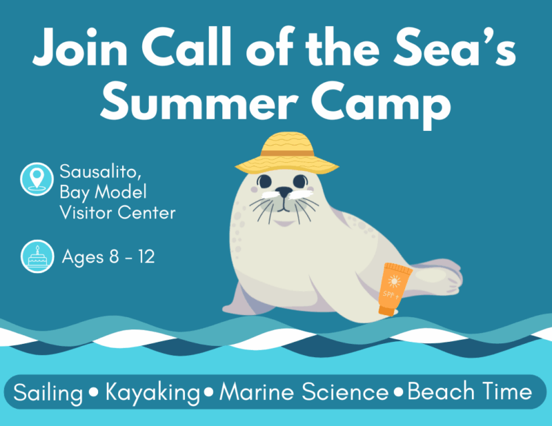 Summer Camp 2026 Call Of The Sea